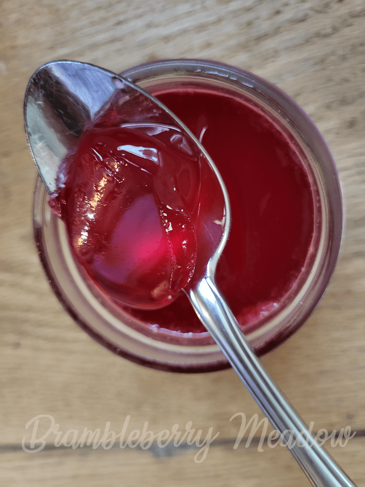 Rhubarb Jelly - Brambleberry Meadow