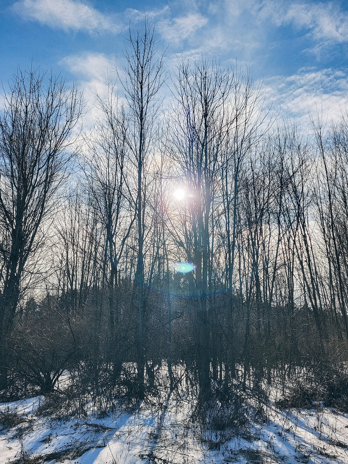 Sun and Ice - Brambleberry Meadow